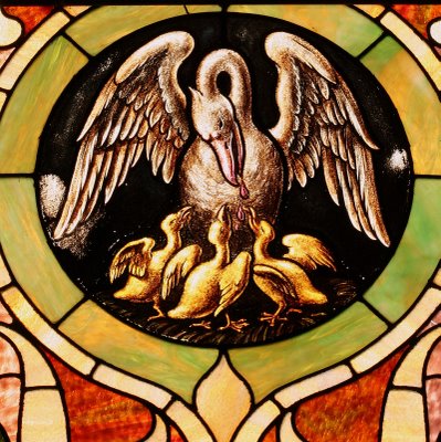 The Symbolism of the Pelican – St. James Catholic Church
